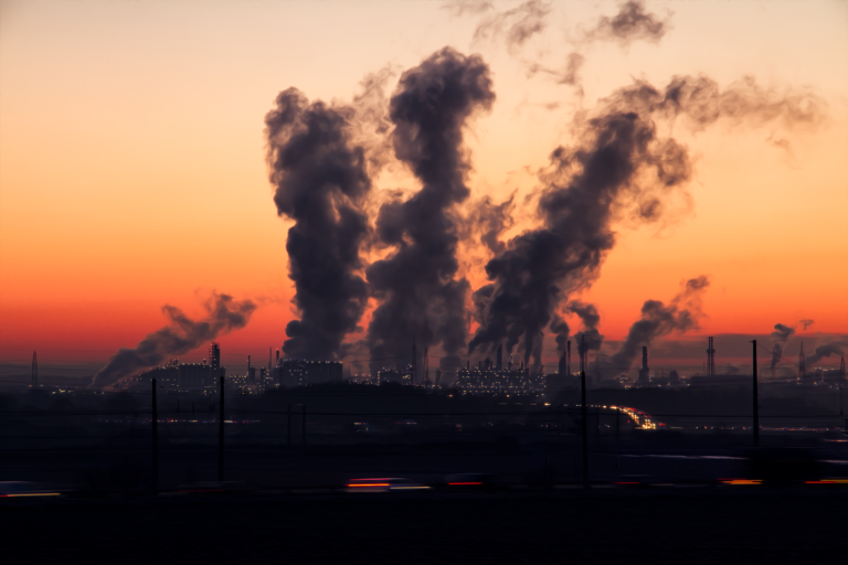Black carbon soot found in placentas - Excalibur
