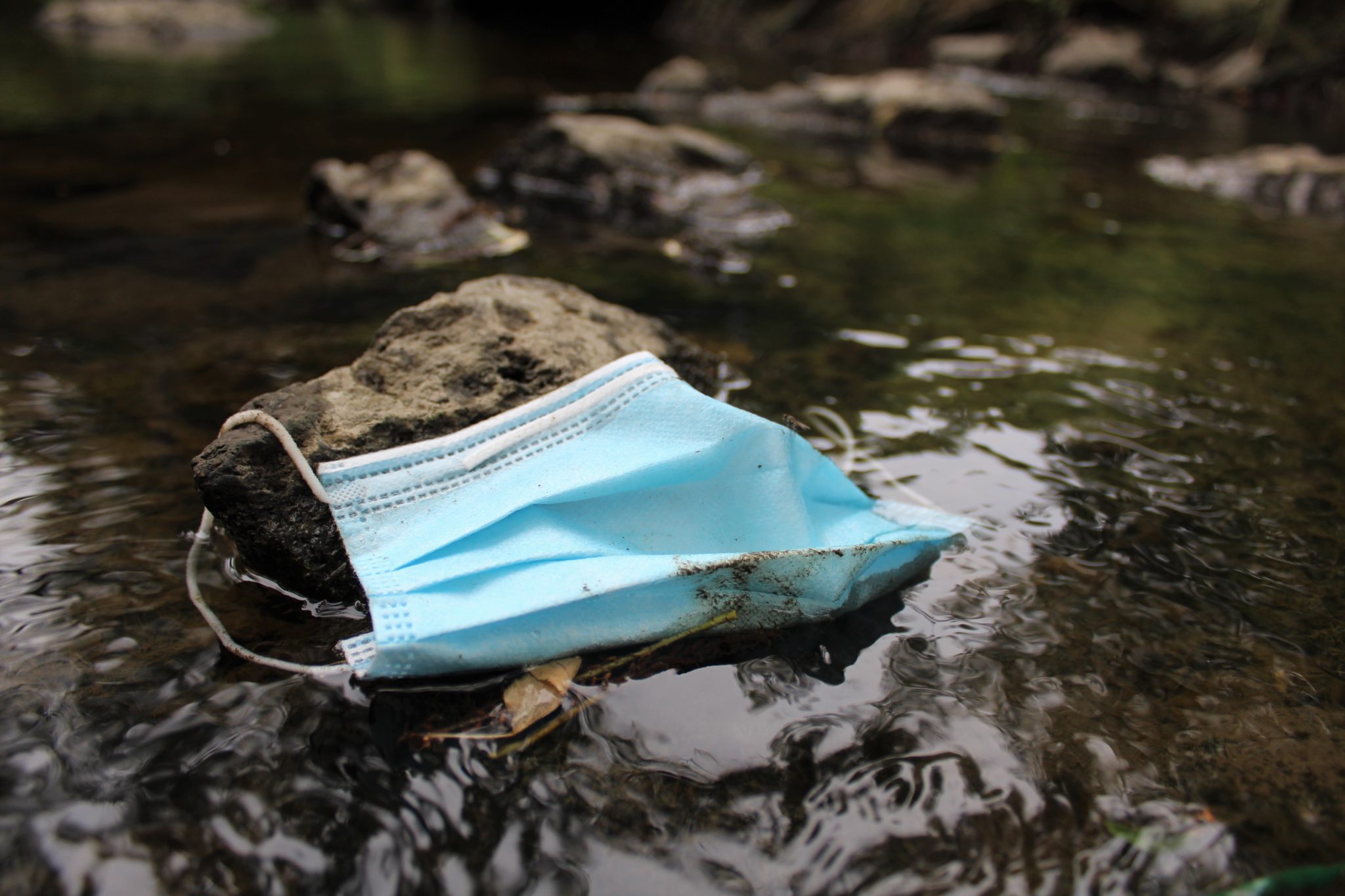 Increase in litter washing up on Canadian shorelines following the ...